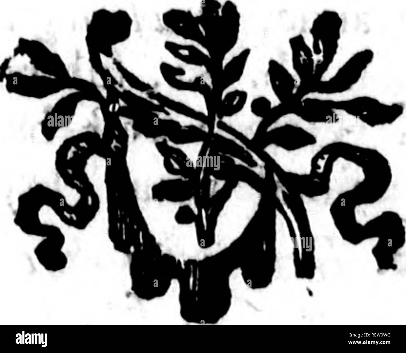 Fui font hi-res stock photography and images - Alamy