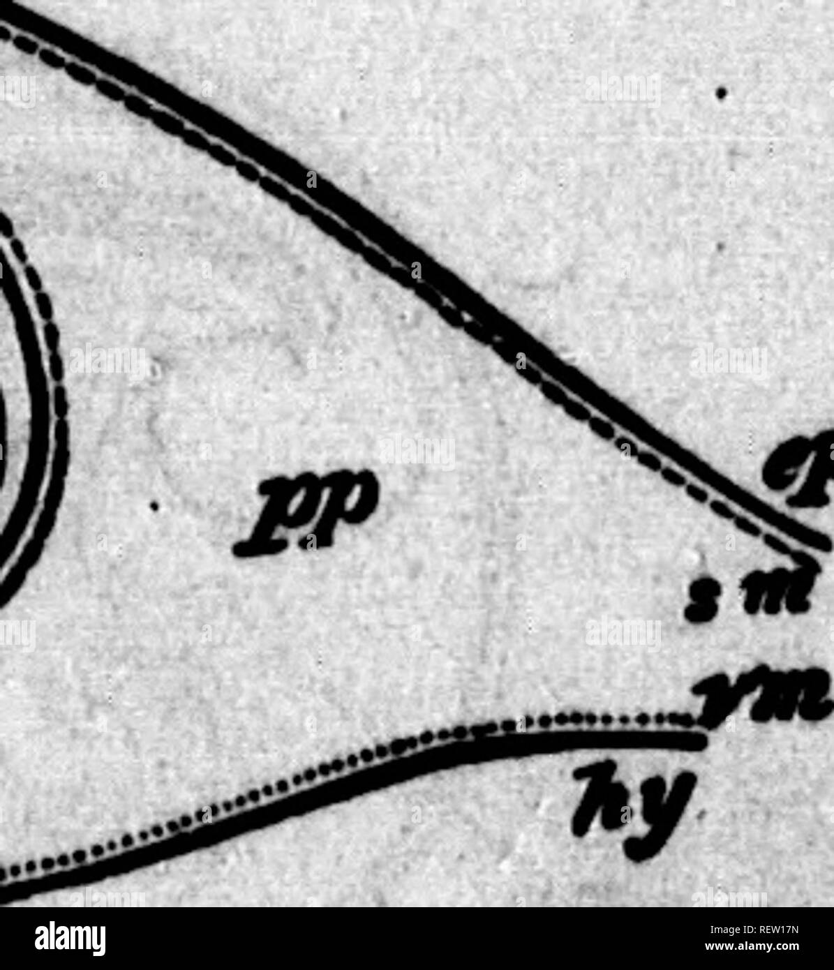 Chick allen hi-res stock photography and images - Alamy