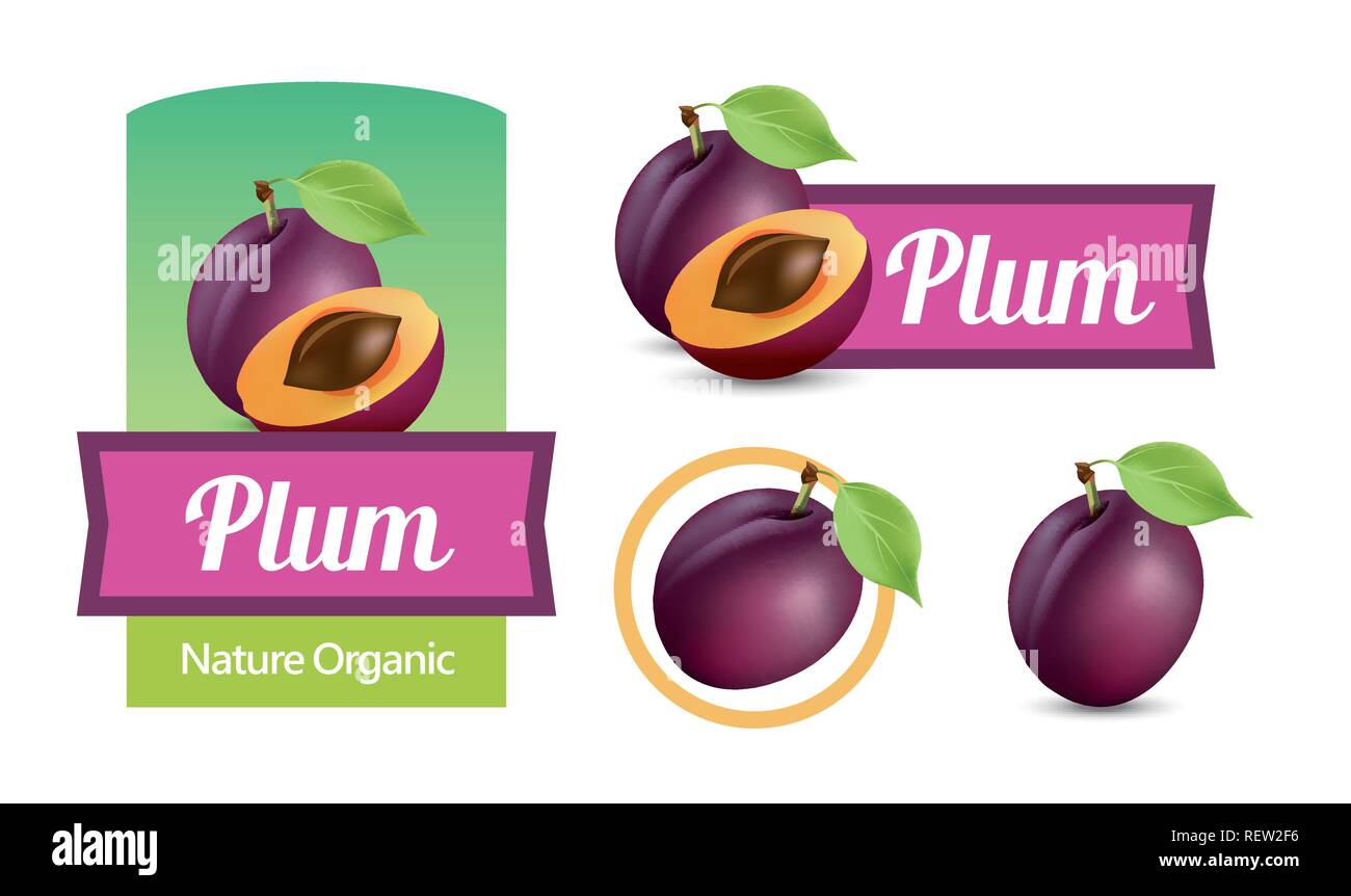 Illustrations plums Stock Vector Images - Alamy