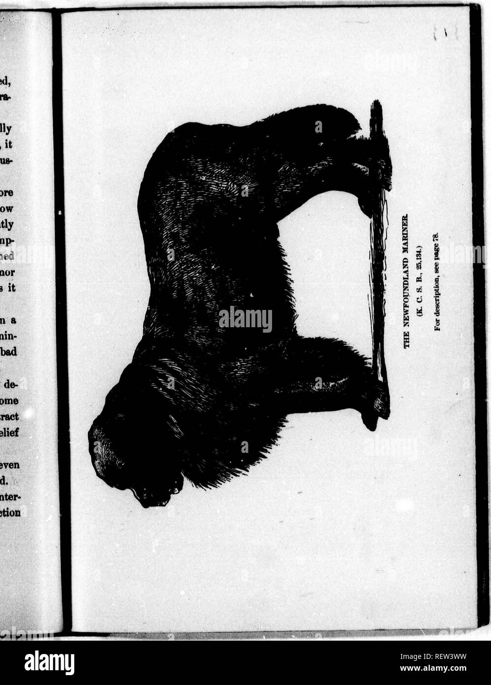 Chloroformed hi-res stock photography and images - Alamy