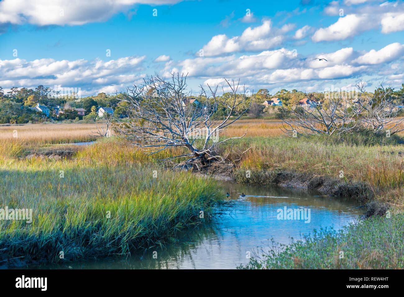 A view of the saltwater, wetland marsh near the coast of St Simons ...