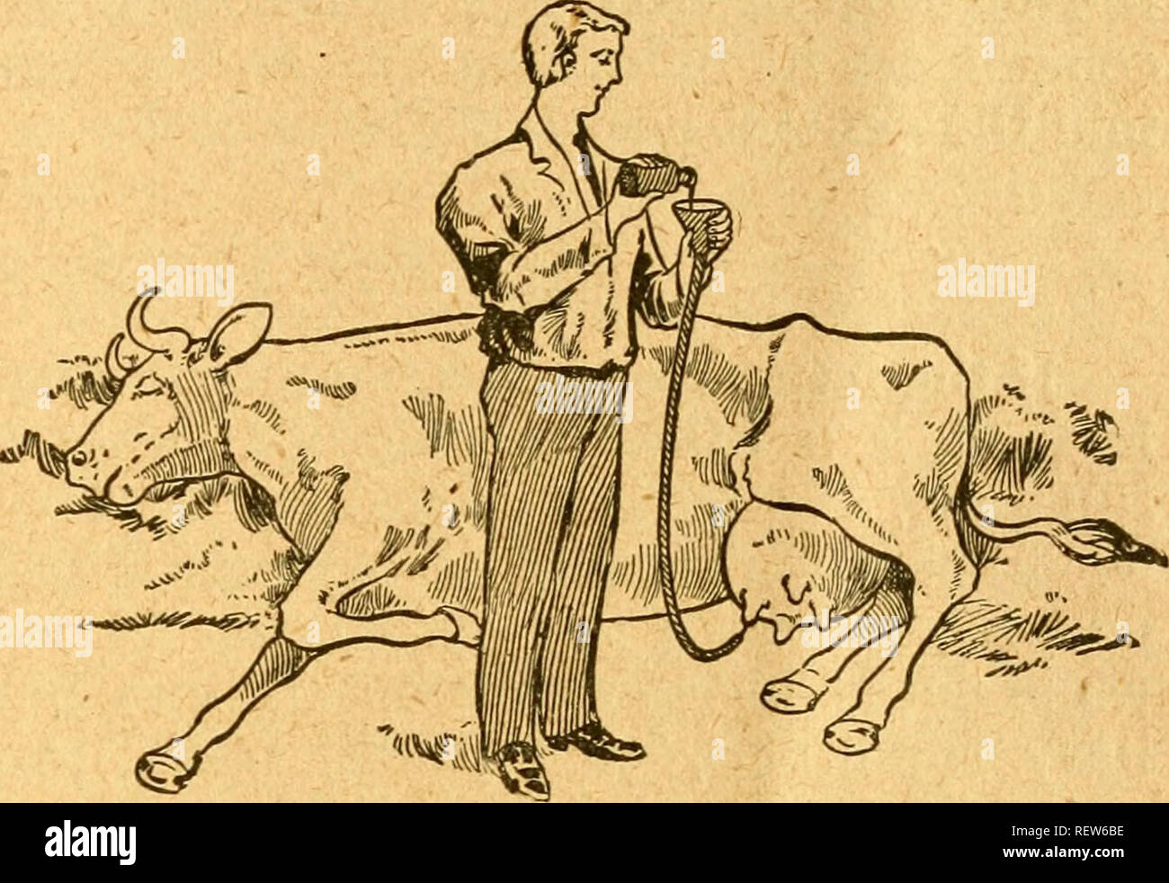 Sheep udder disease hi-res stock photography and images - Alamy