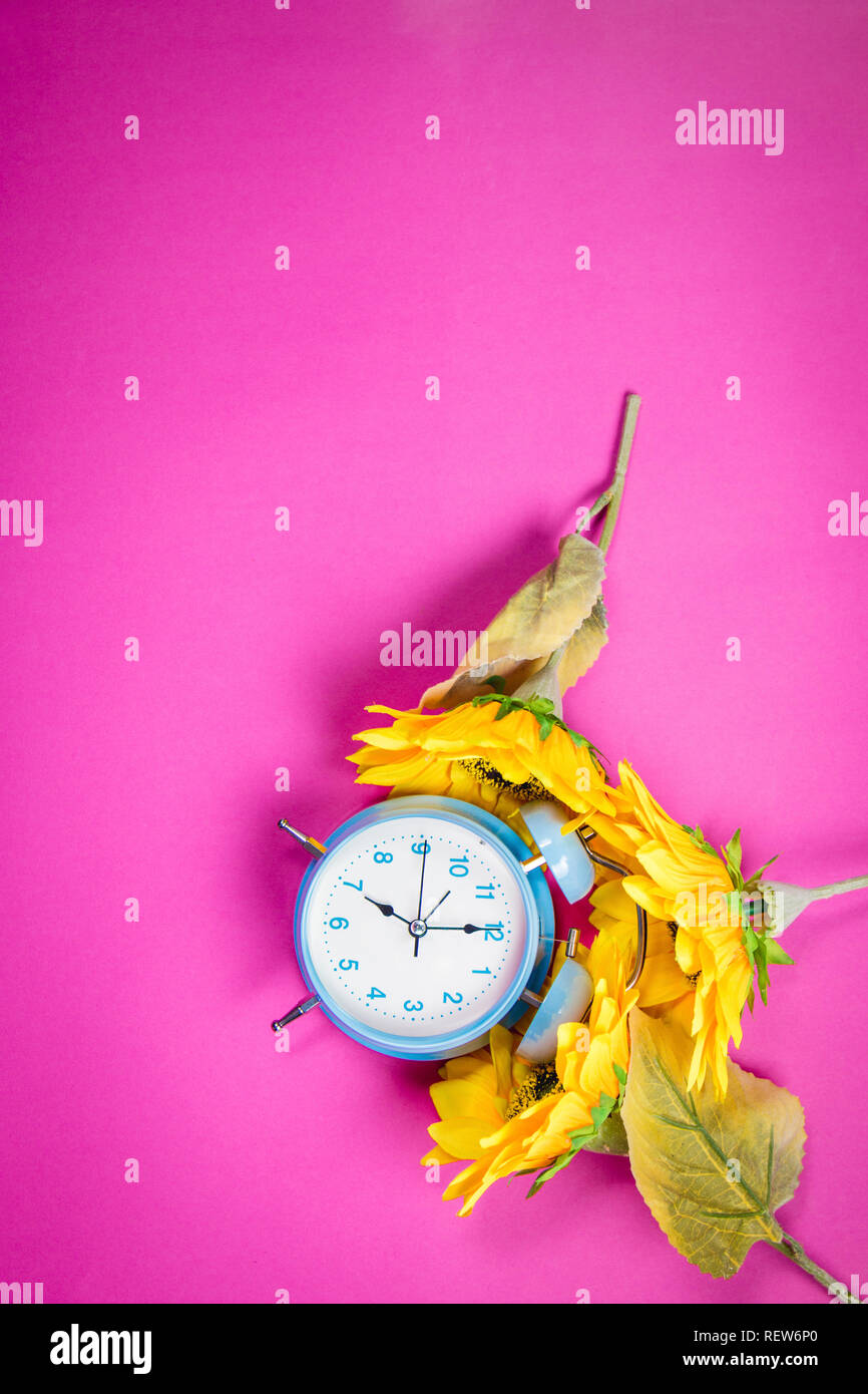 Beautiful retro blue pastel alarm clock on a vibrant pink background ...
