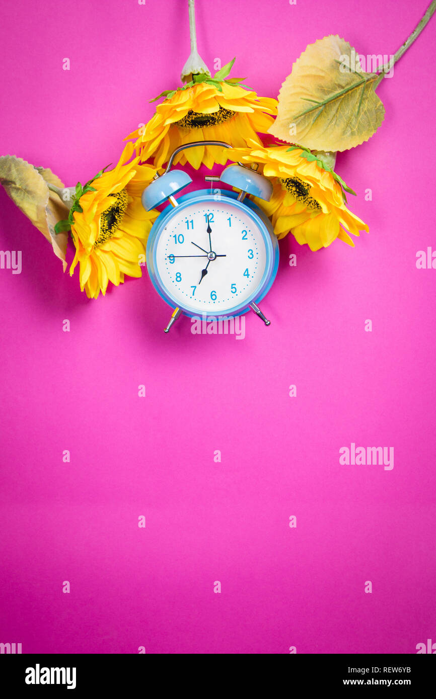 Beautiful retro blue pastel alarm clock on a vibrant pink background ...