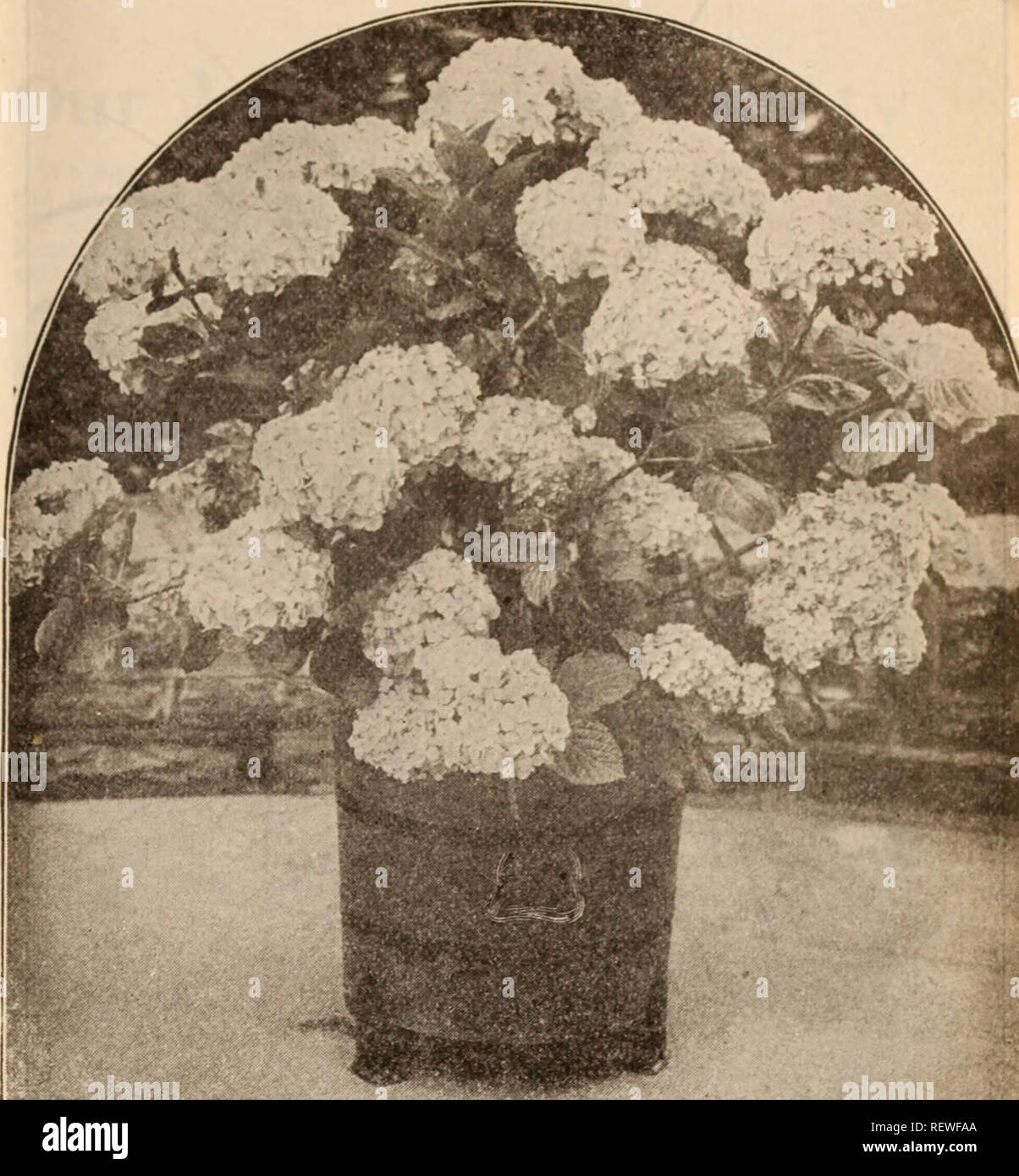 Pierre courtois hi-res stock photography and images - Alamy