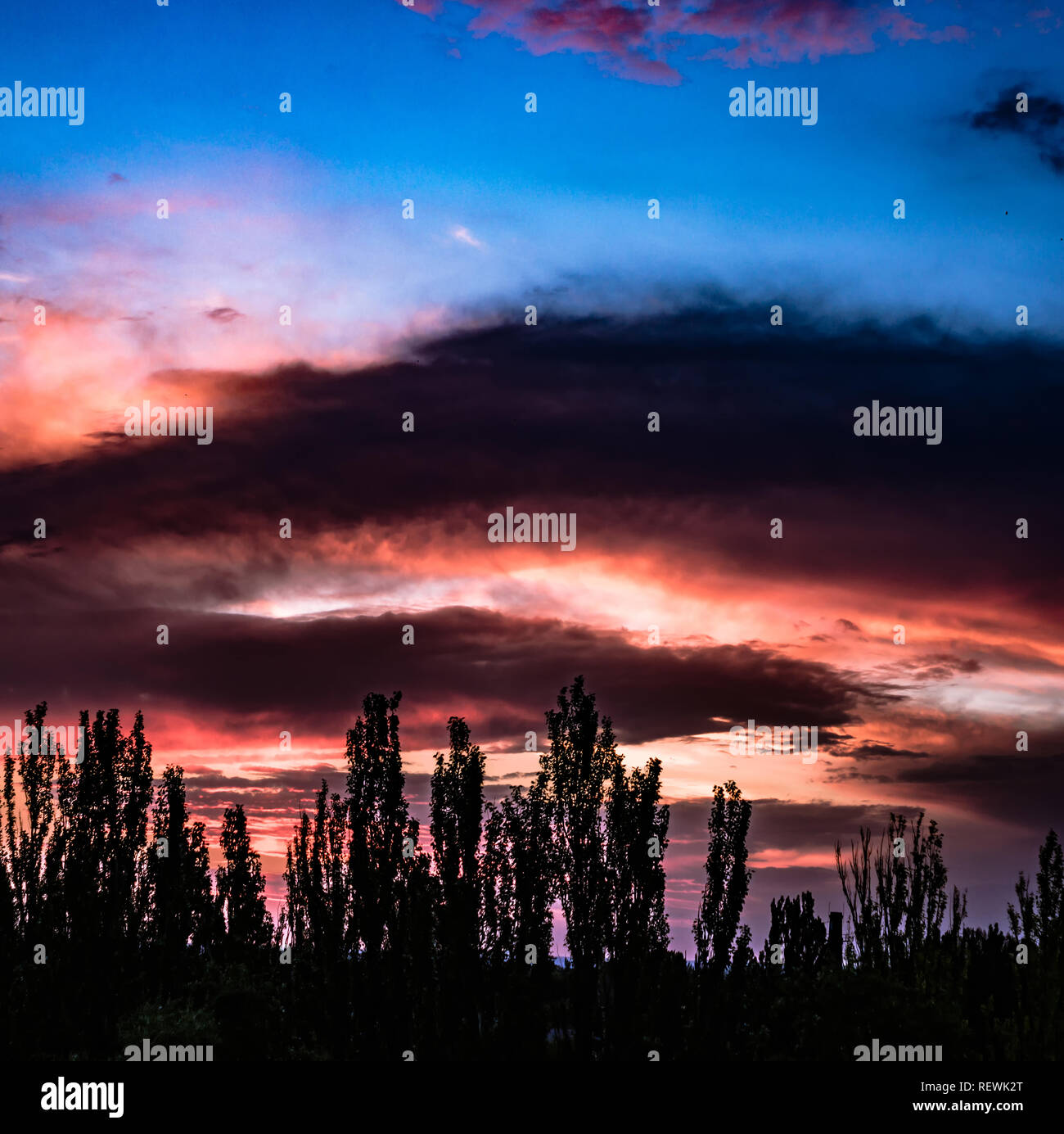 Landscape with dramatic light - beautiful golden sunset with saturated ...