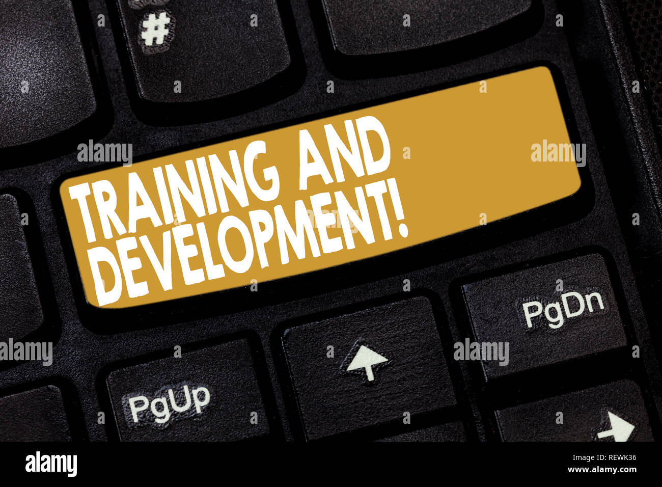 Word writing text Training And Development. Business concept for ...