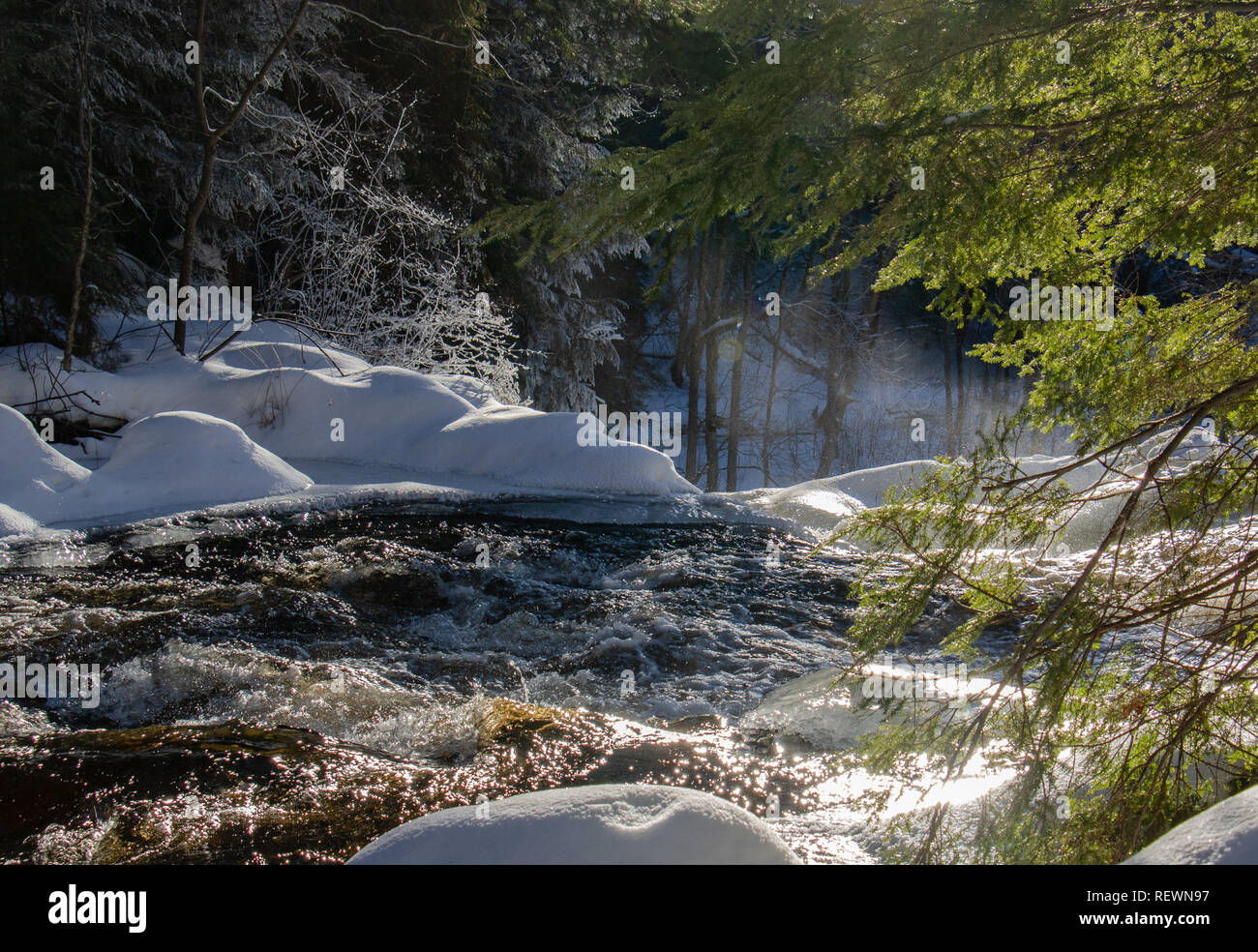Stubbs falls trail hi-res stock photography and images - Alamy