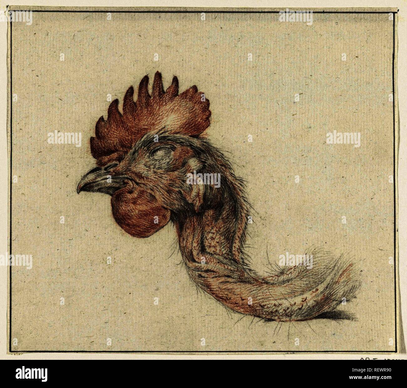 Dead chicken drawing hi-res stock photography and images - Alamy