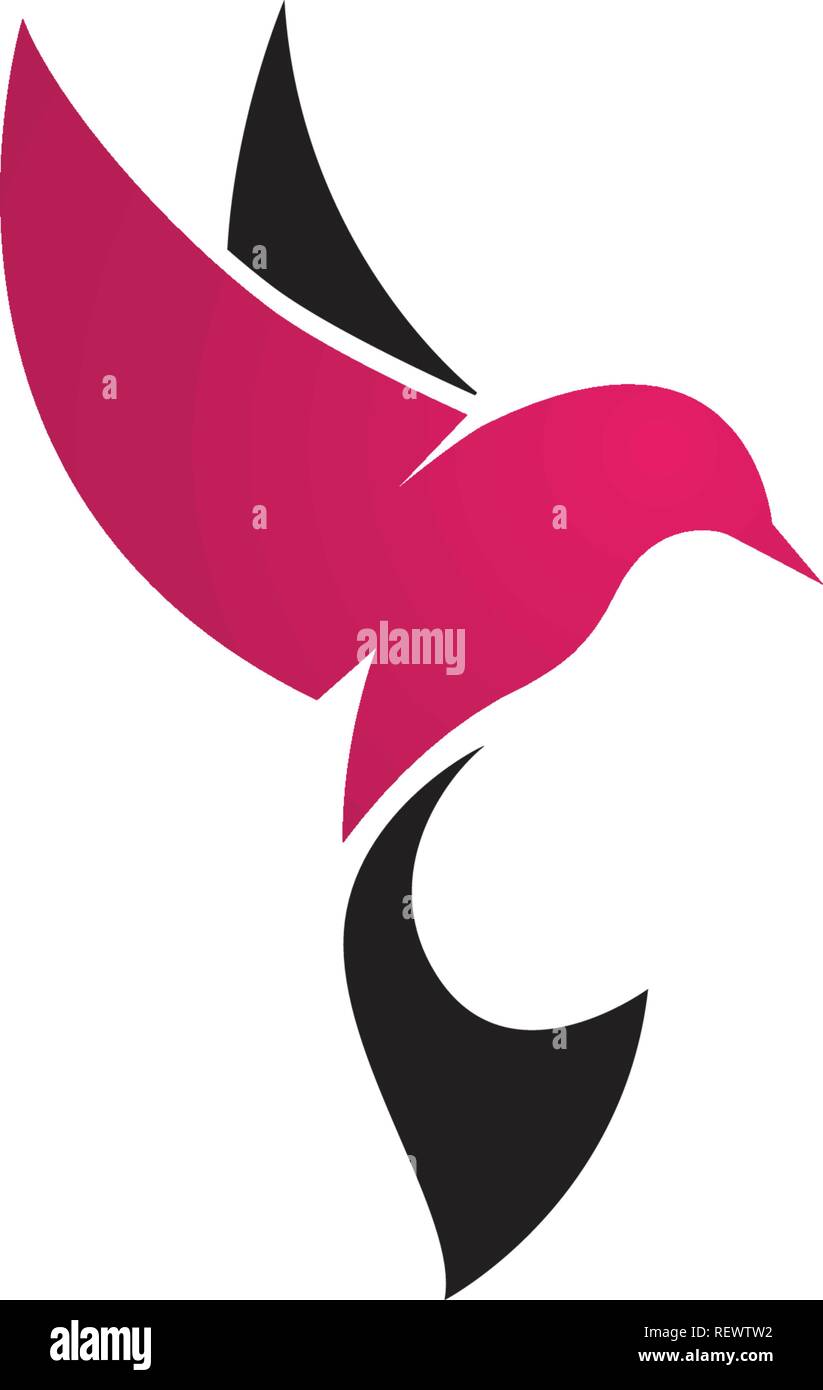 Bird logo vector template Stock Vector Image & Art - Alamy