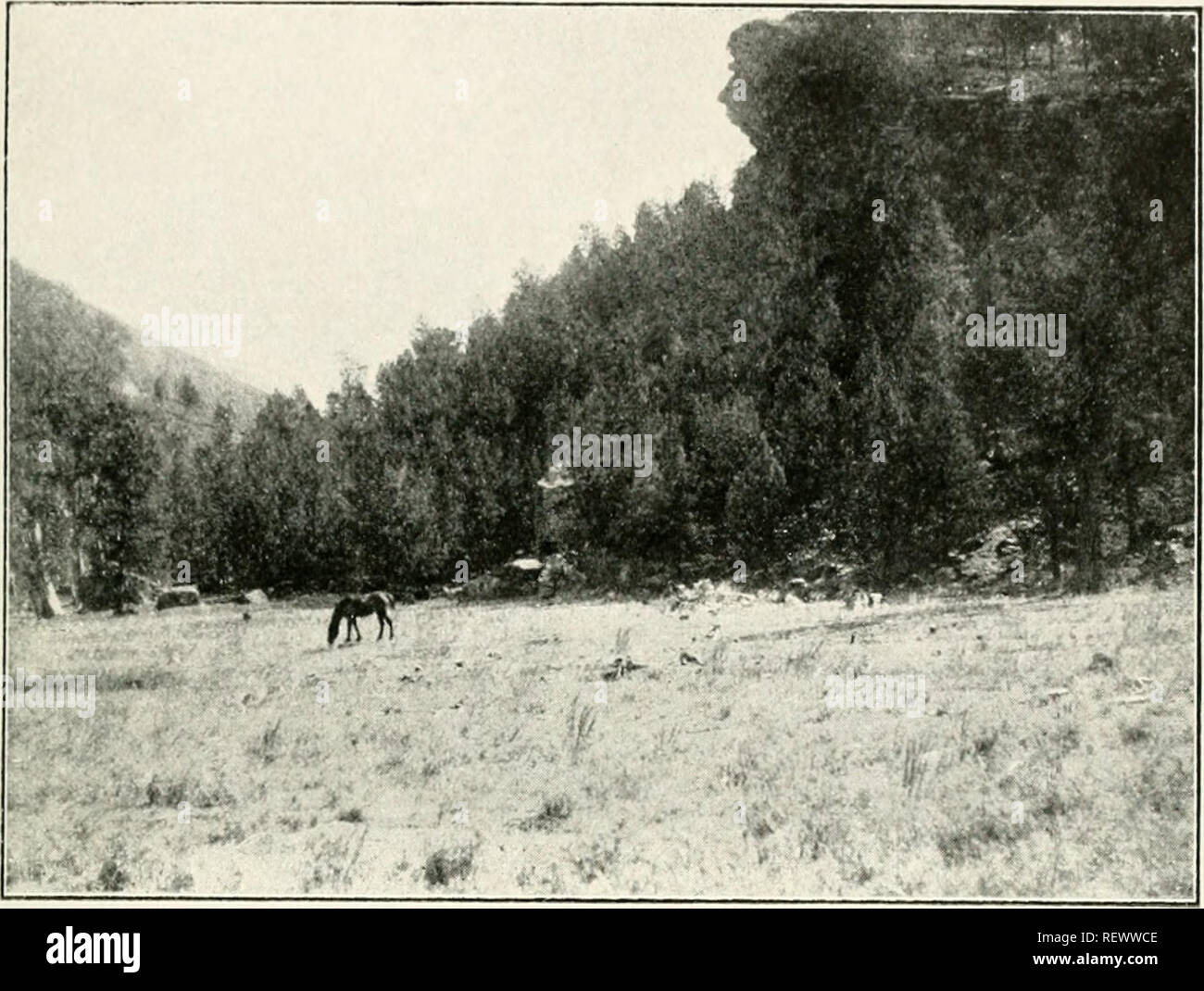 Birds of flinders ranges hi-res stock photography and images - Alamy