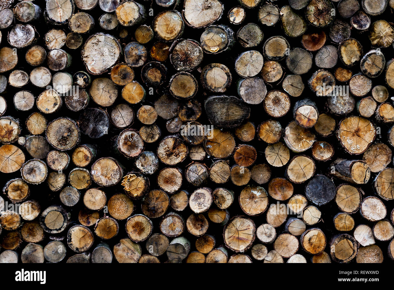 ends of logs wooden background. toning. wood in the stack. - Image ...