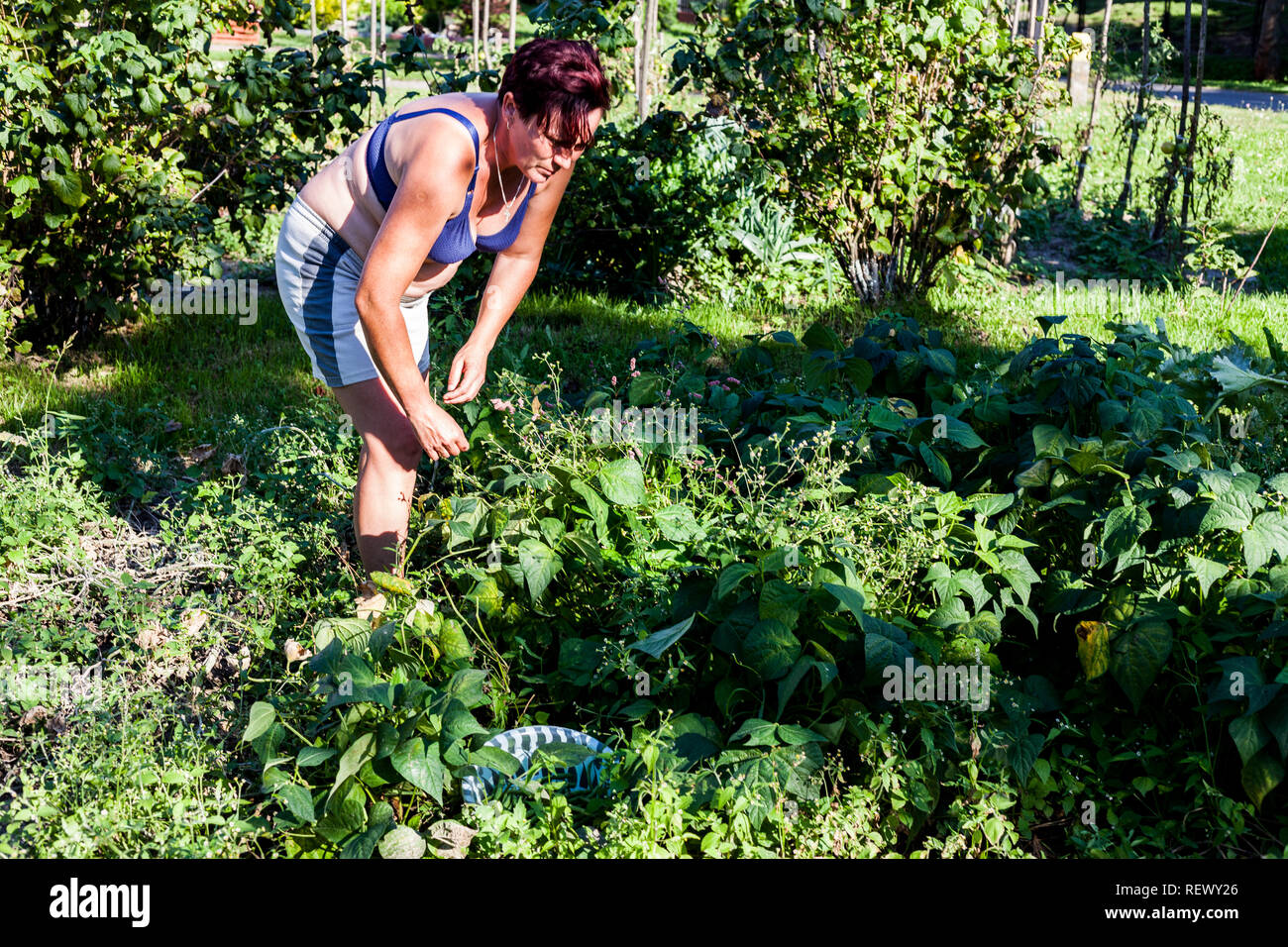 Unwanted weeds from farm hi-res stock photography and images - Alamy