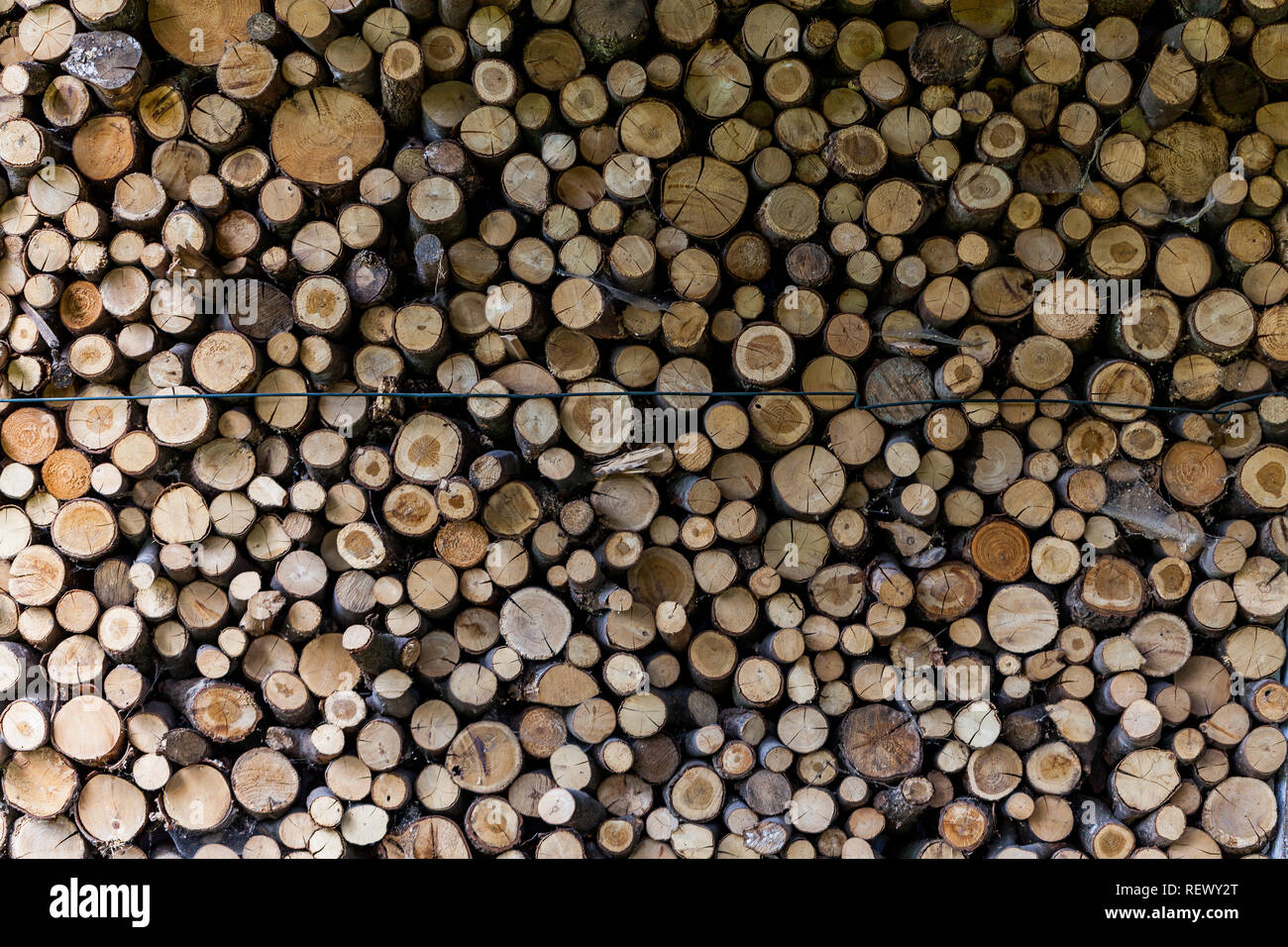 ends of logs wooden background. toning. wood in the stack. - Image ...