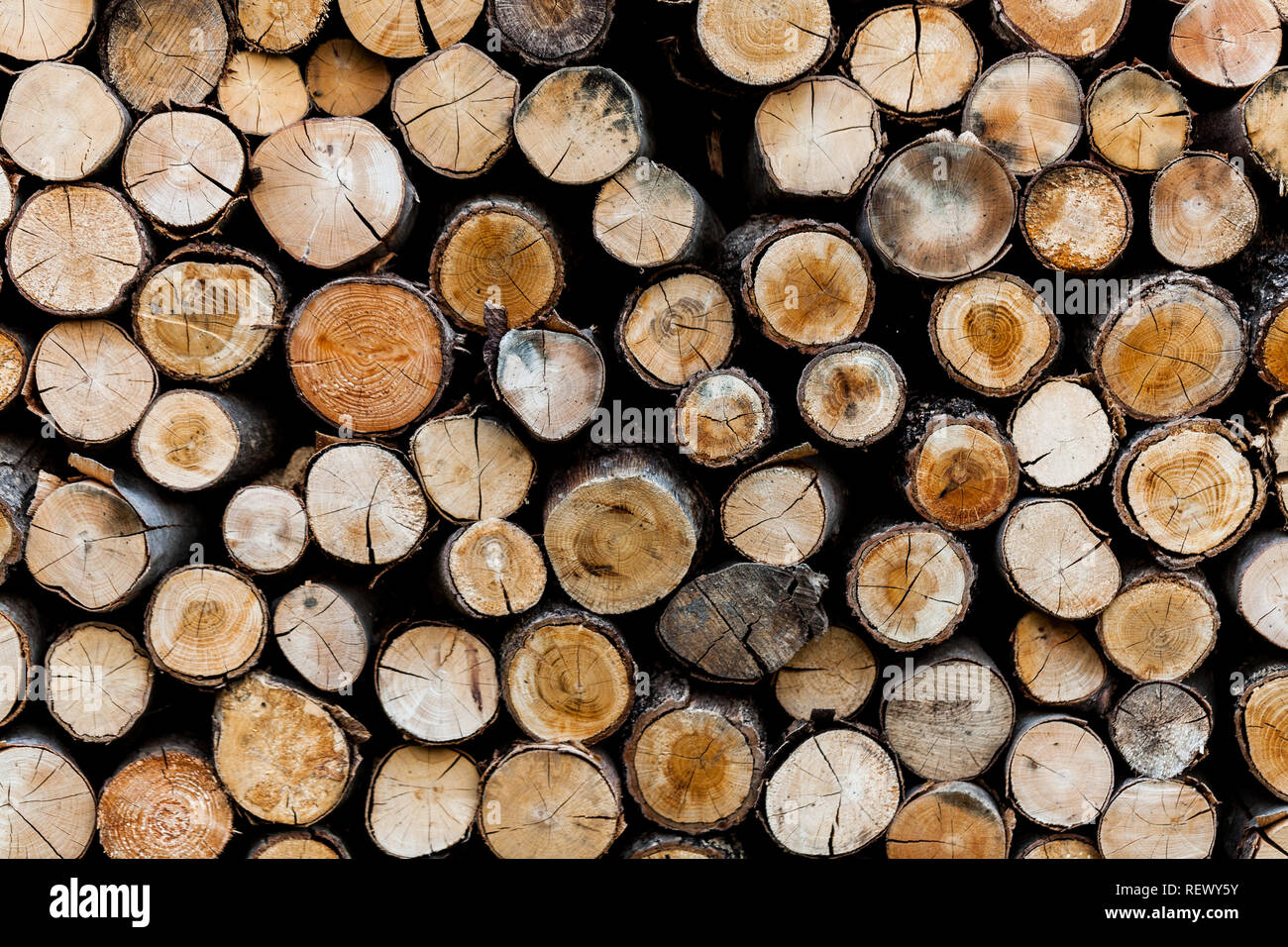 ends of logs wooden background. toning. wood in the stack. - Image ...