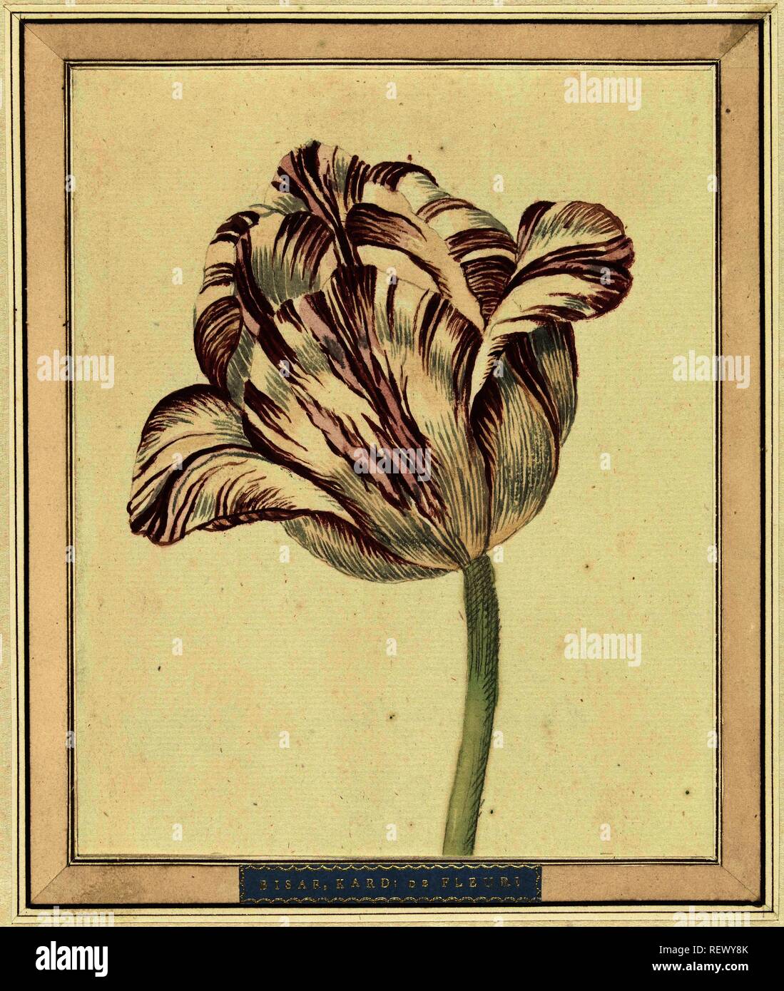 Bisar hi-res stock photography and images - Alamy