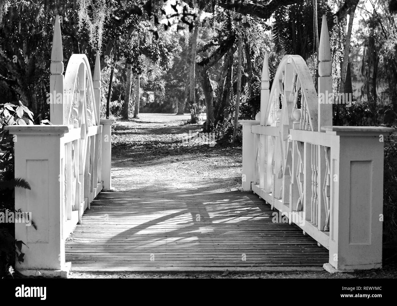 nature, footbridge, park, bridge, landscape, wood, tree, wooden ...
