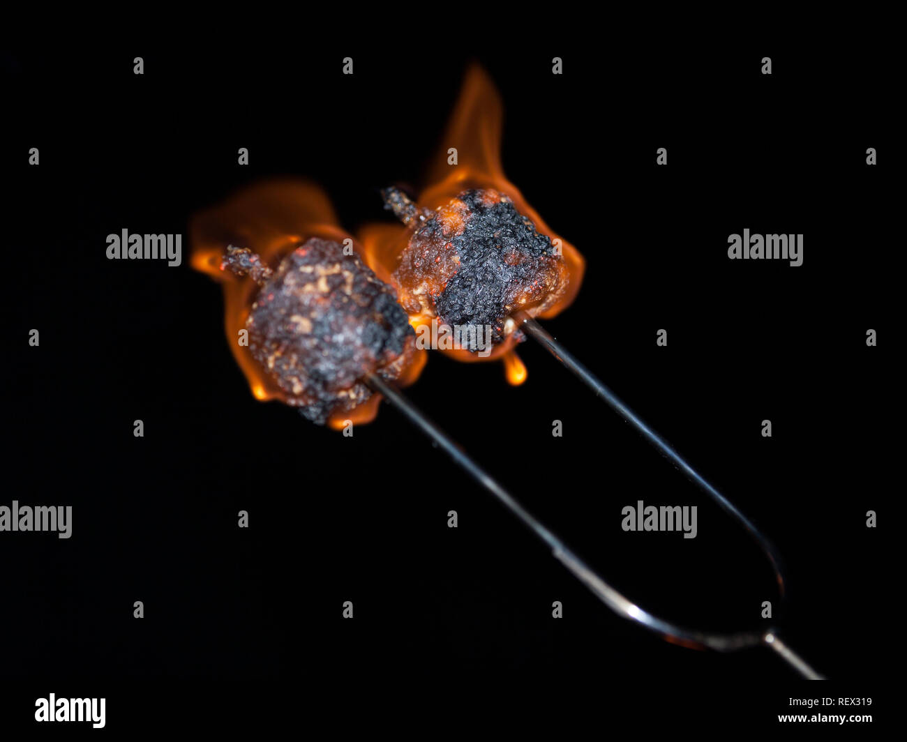 Toasting marshmallows fire hi-res stock photography and images - Alamy