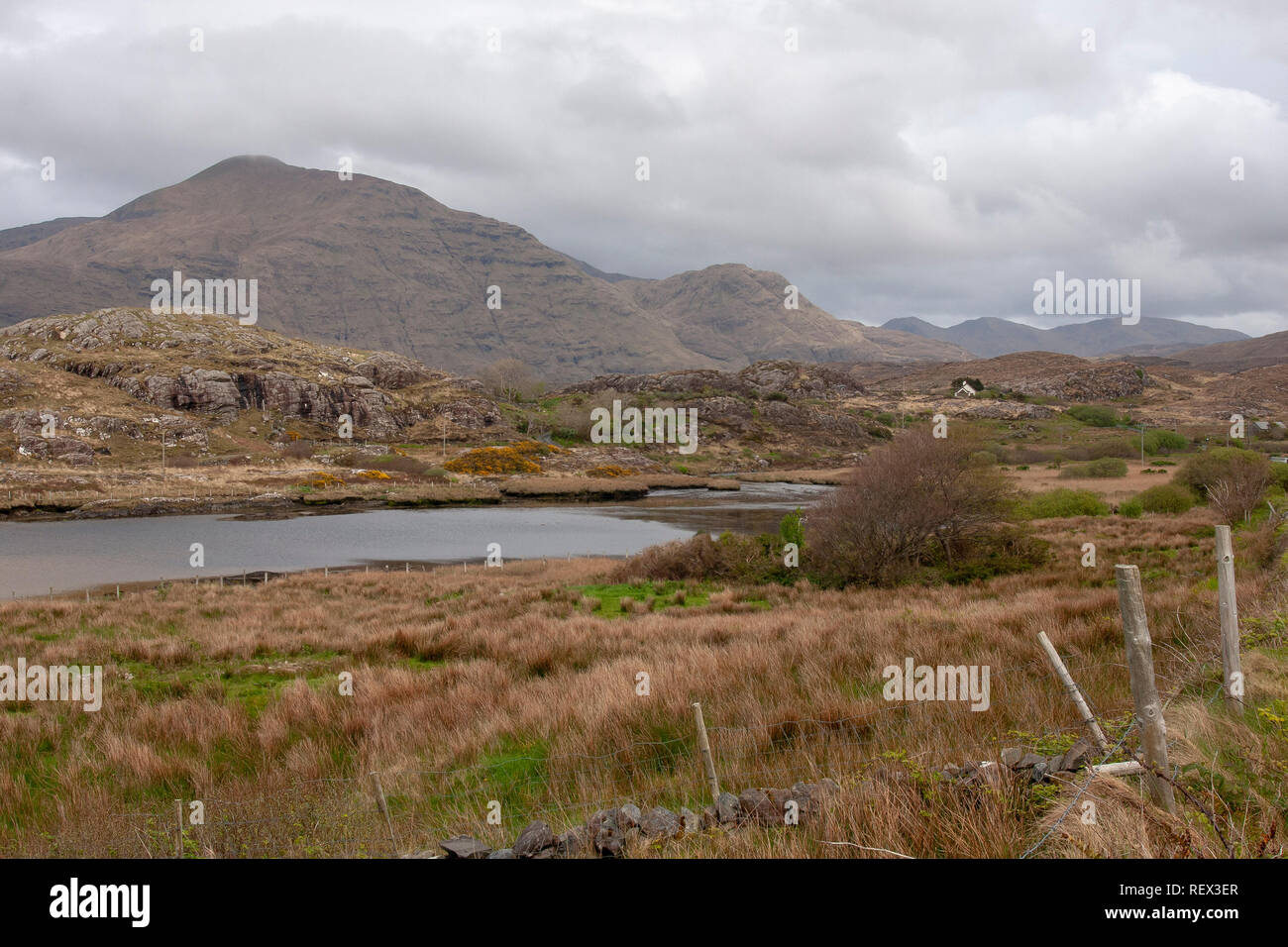 Irish field hi-res stock photography and images - Alamy