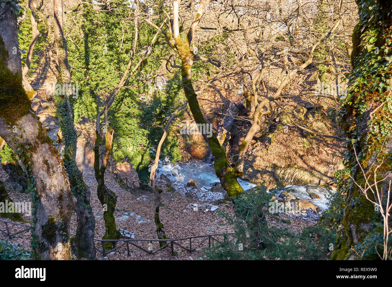 View fresh green forests waterfalls hi-res stock photography and images ...