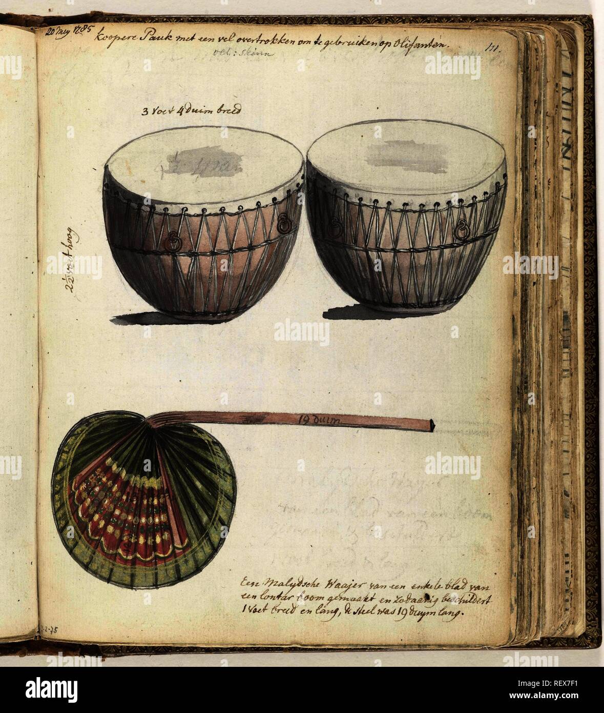 Malayan elephant hi-res stock photography and images - Alamy