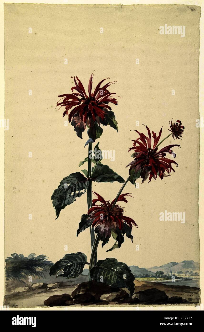 Aert schouman signed by artist hi-res stock photography and images - Alamy