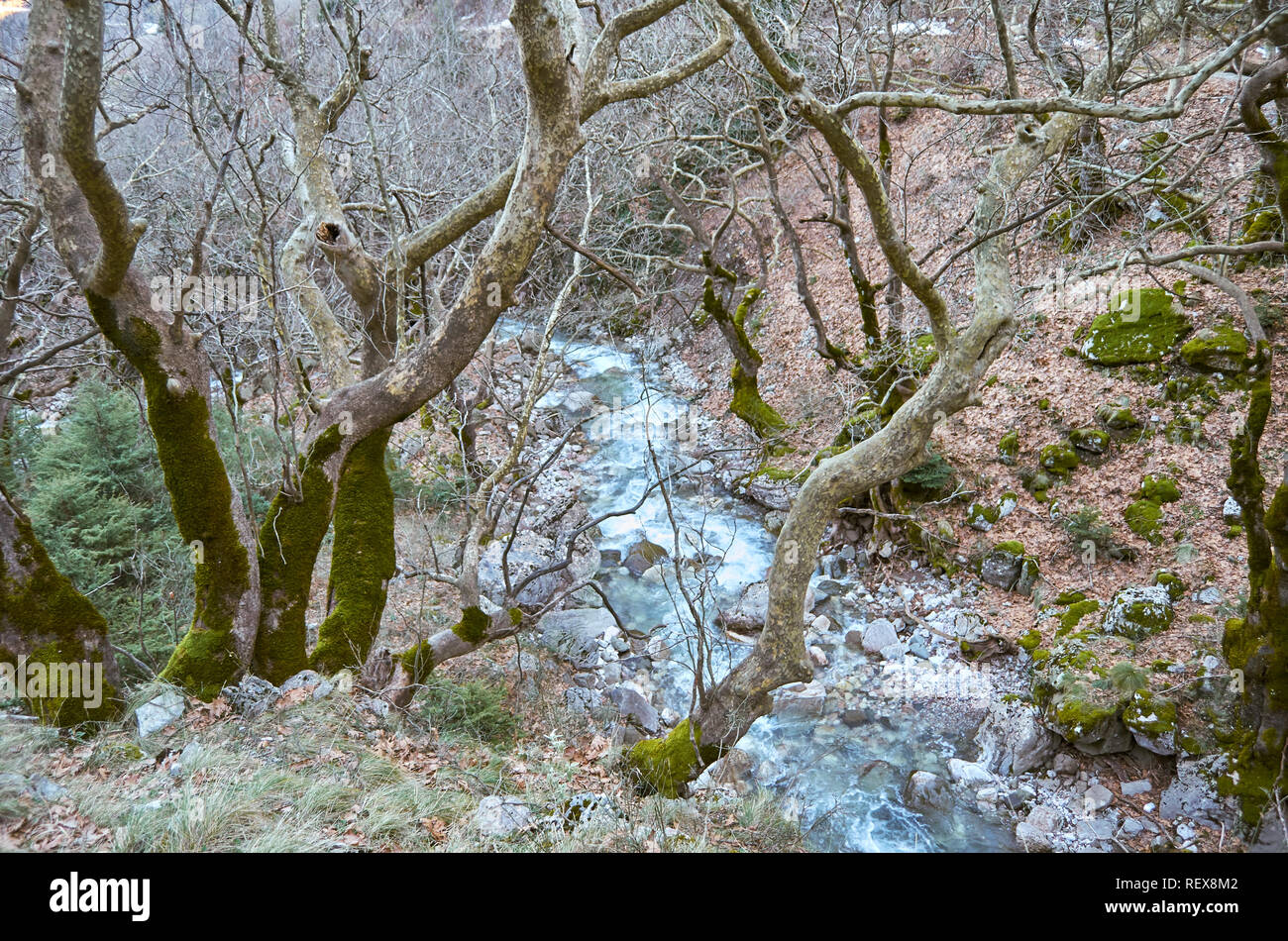 Beautiful natural scenery at the waterfalls of Anthochori village in ...