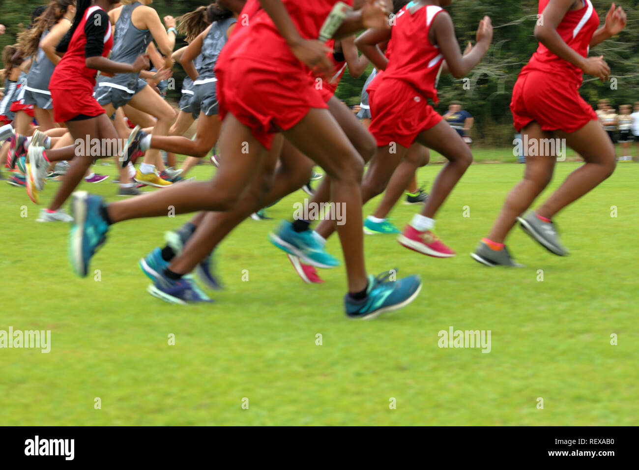 Cross Country runners running on green grass Stock Photo - Alamy