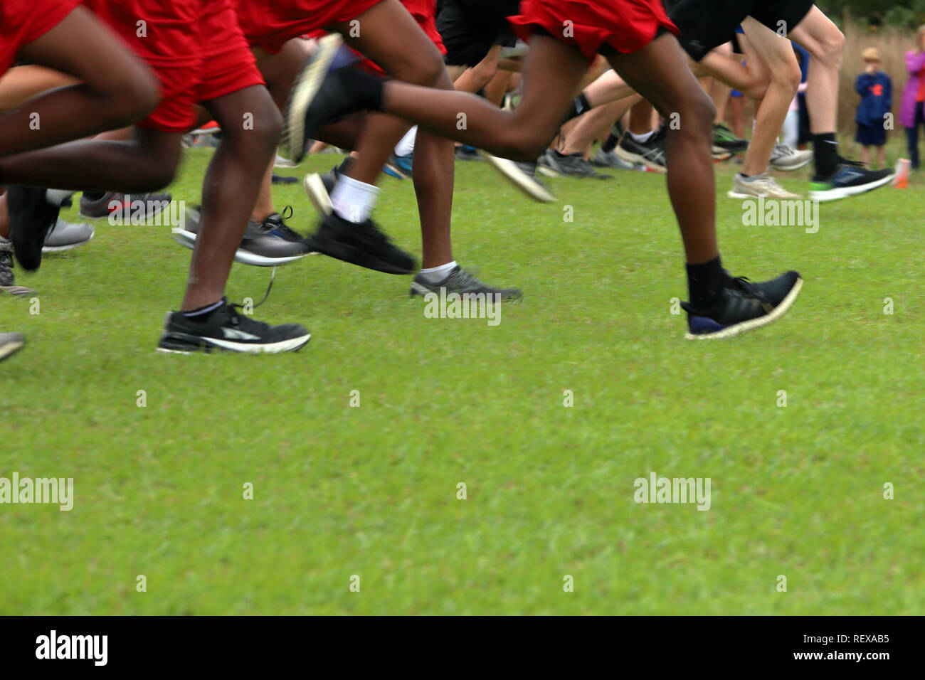 Cross Country runners running on green grass Stock Photo - Alamy