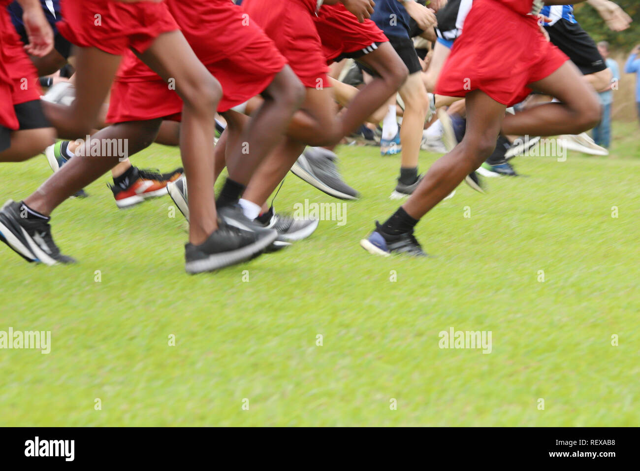 Marathon runners cross country hi-res stock photography and images - Alamy