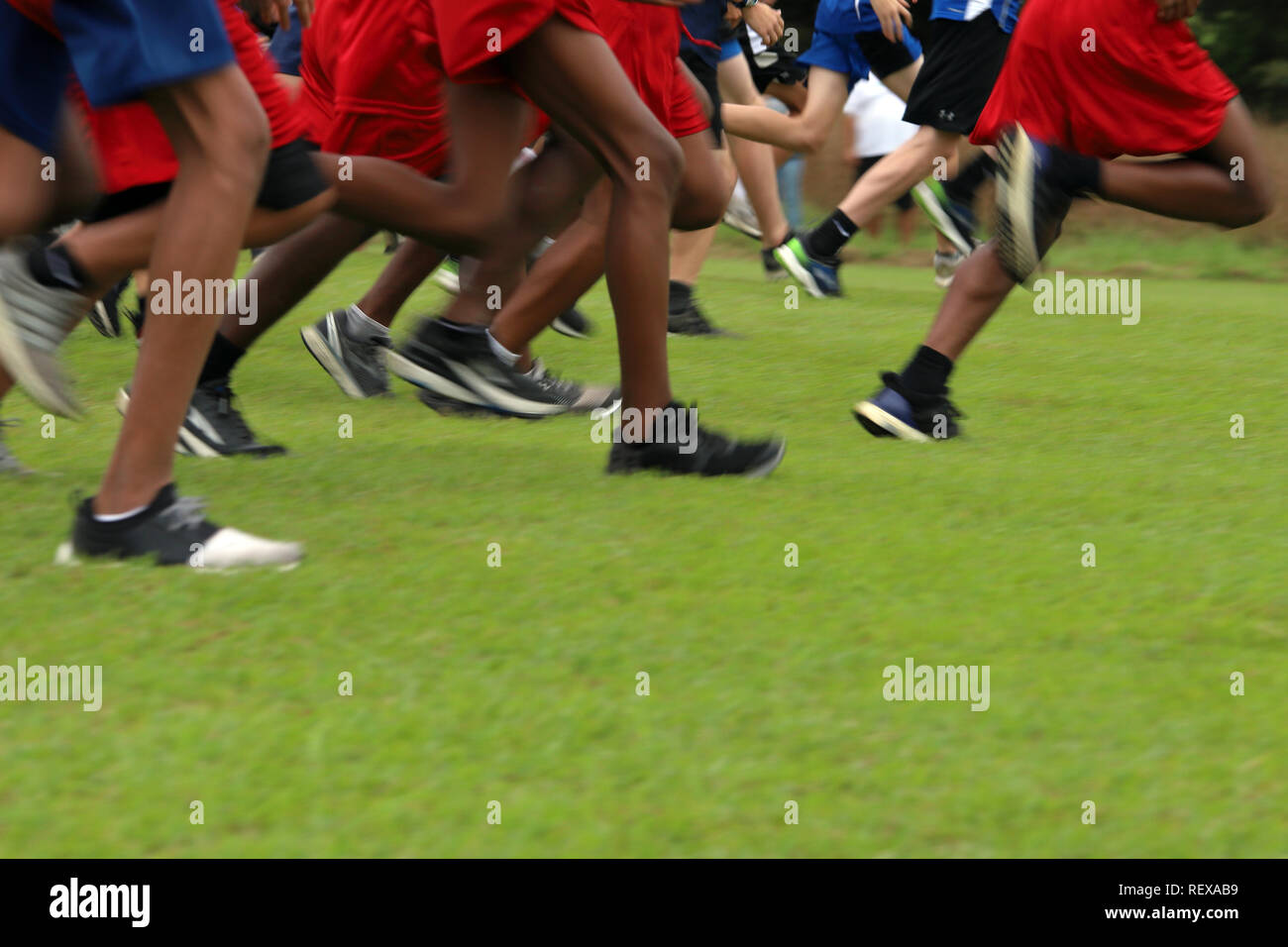 Cross Country runners running on green grass Stock Photo - Alamy