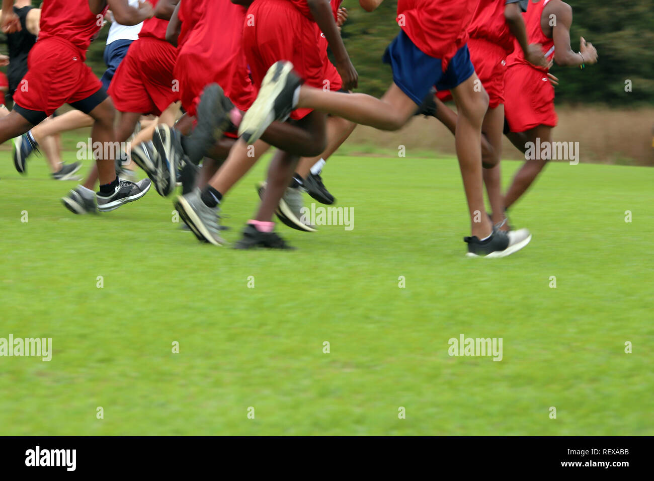 Cross Country runners running on green grass Stock Photo - Alamy