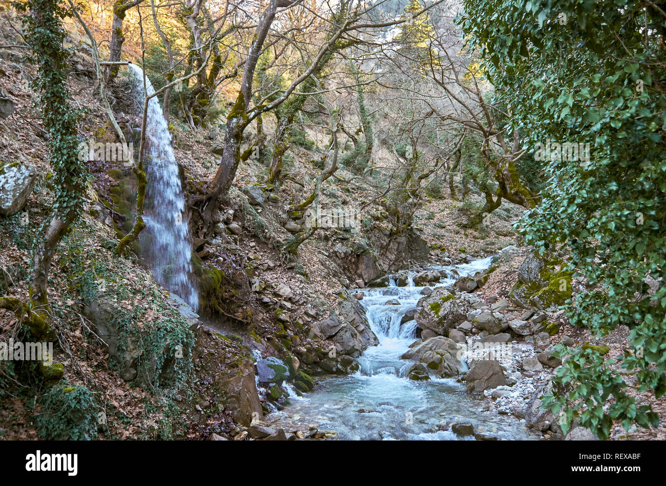 View fresh green forests waterfalls hi-res stock photography and images ...