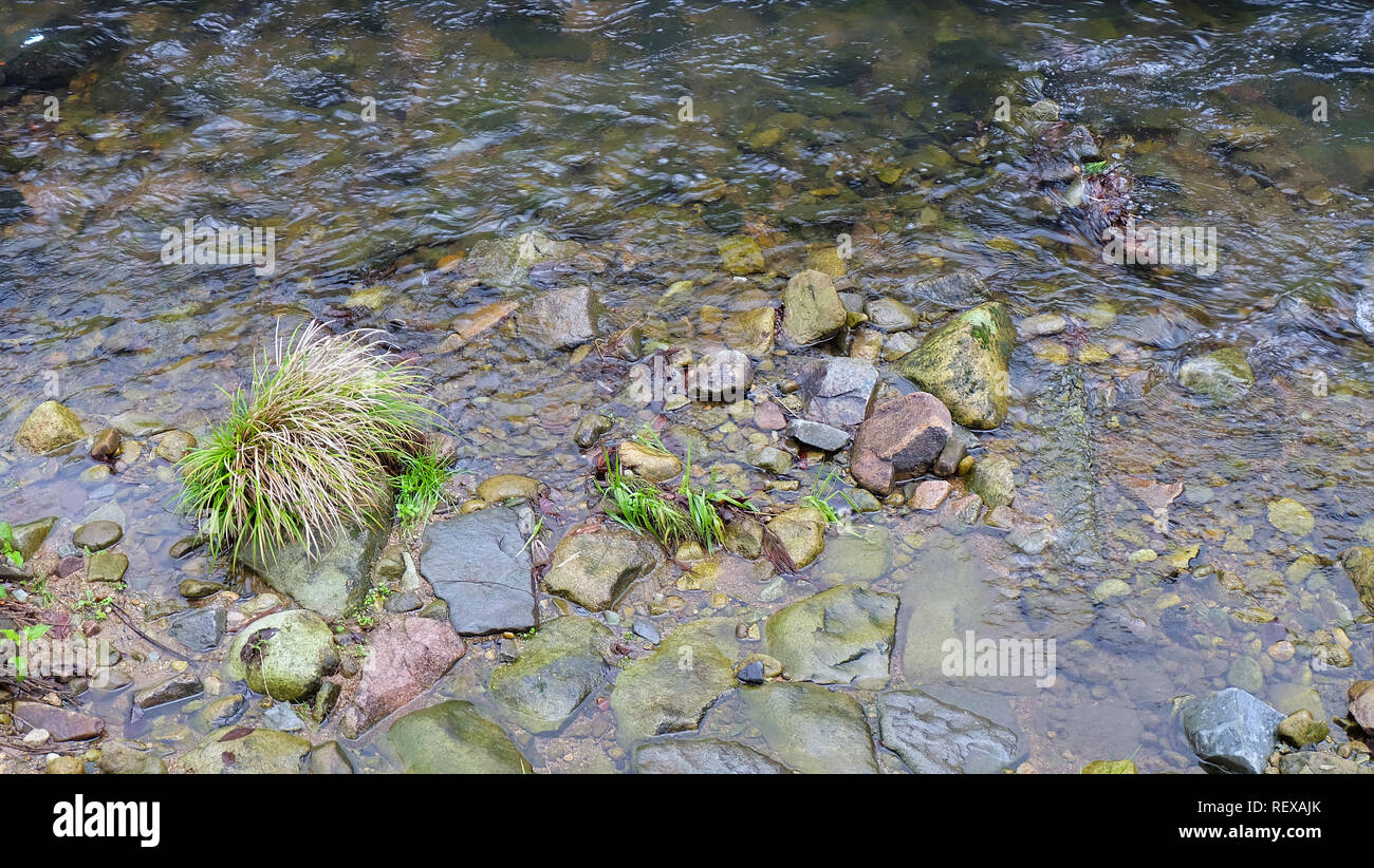 Scenery of a shallow river with large rocks on the bank Stock Photo - Alamy