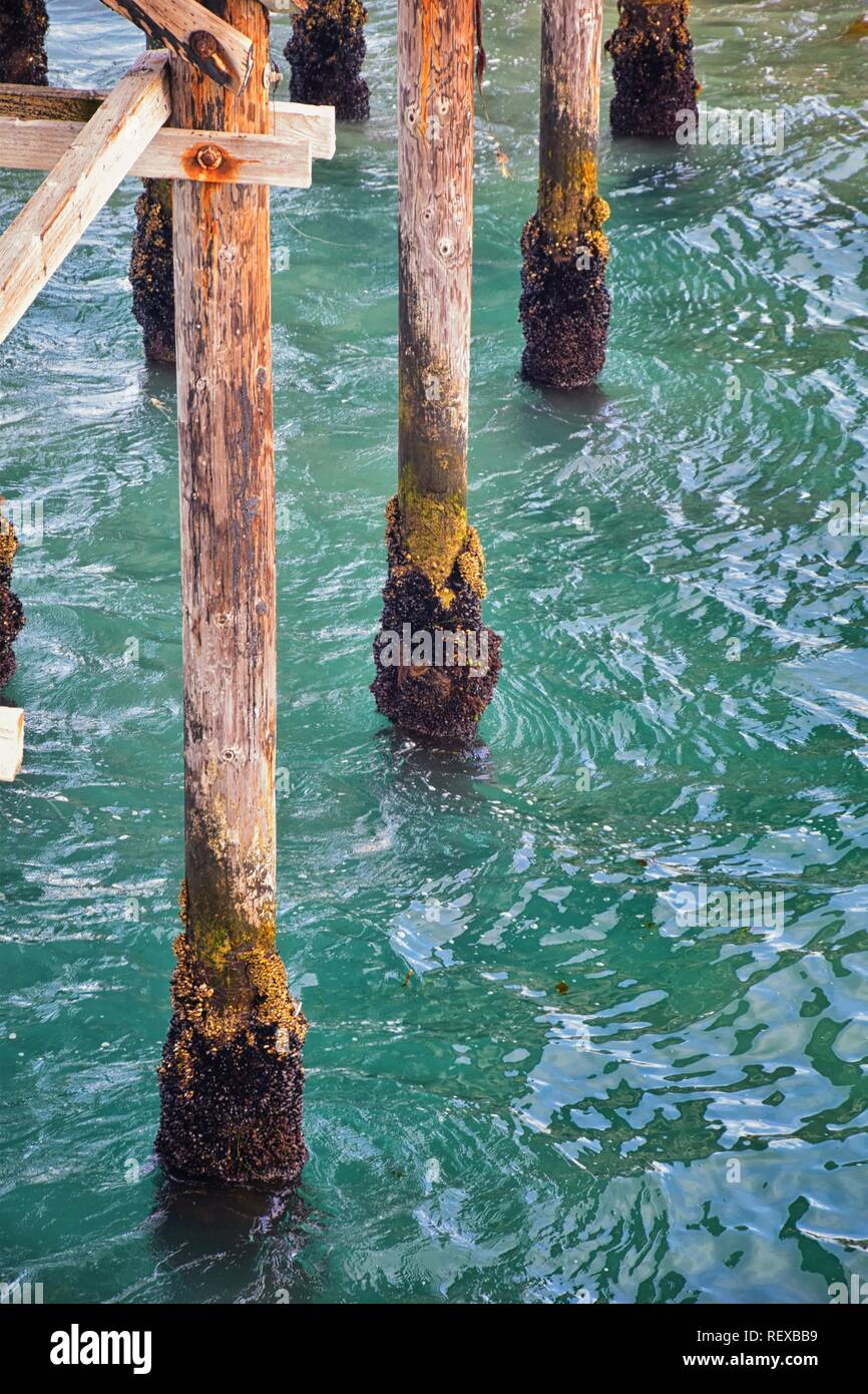 View from Mission Beach in San Diego, of Piers, Jetty and sand, around ...