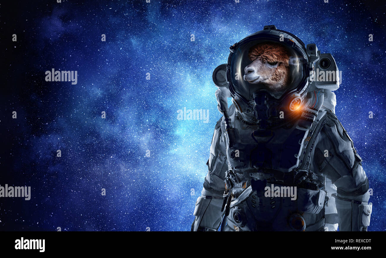 Astronaut camel wearing space suit against starry sky. Mixed media ...