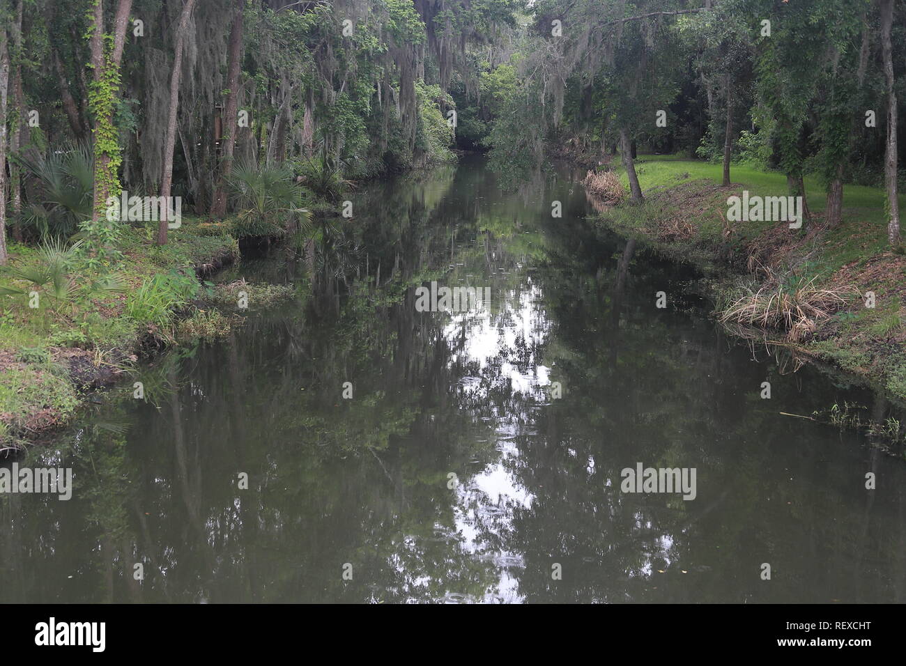 Florida Wetlands stream Stock Photo - Alamy