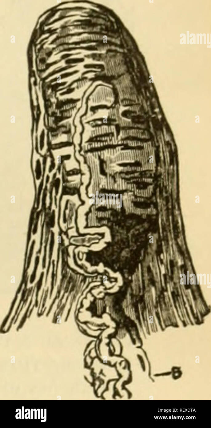 Tactile bodies hi-res stock photography and images - Alamy