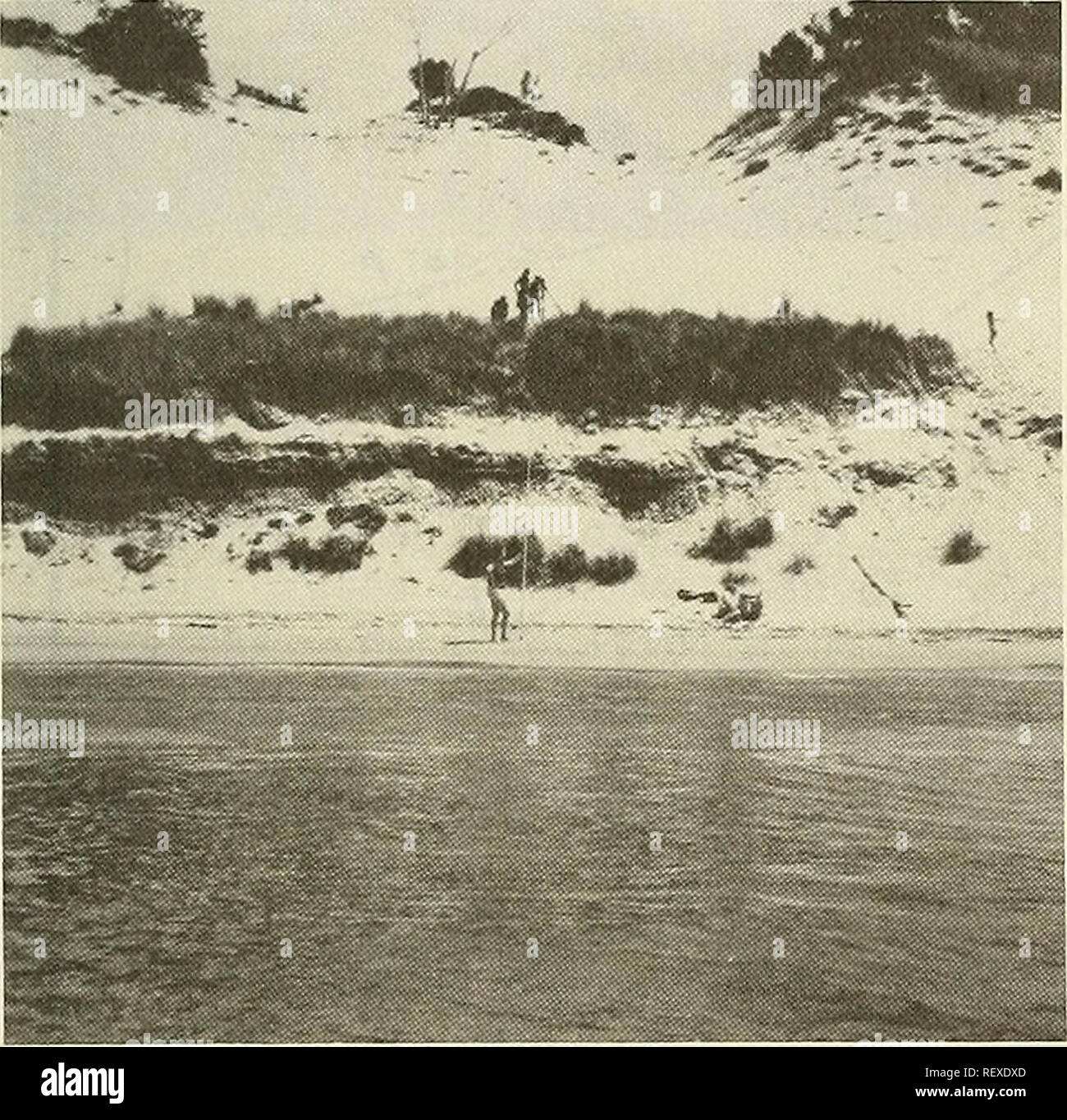 . Coastal changes, eastern Lake Michigan, 1970-1974. Coast changes. 8 ...