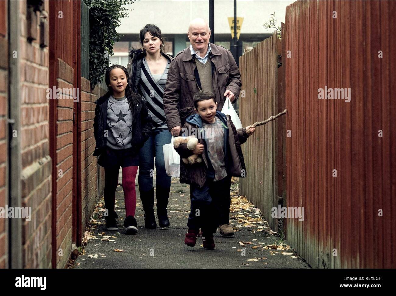 Daisy For Commercial Use High Resolution Stock Photography and Images ...