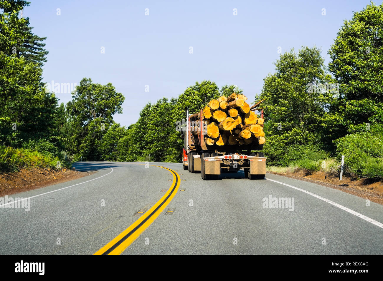 Transporting tree trunks hi-res stock photography and images - Alamy