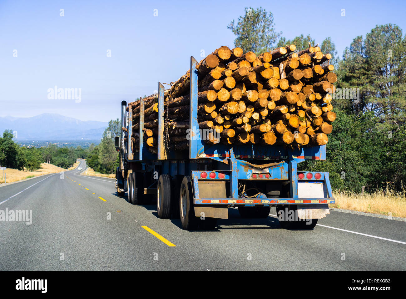 Transporting tree trunks hi-res stock photography and images - Alamy