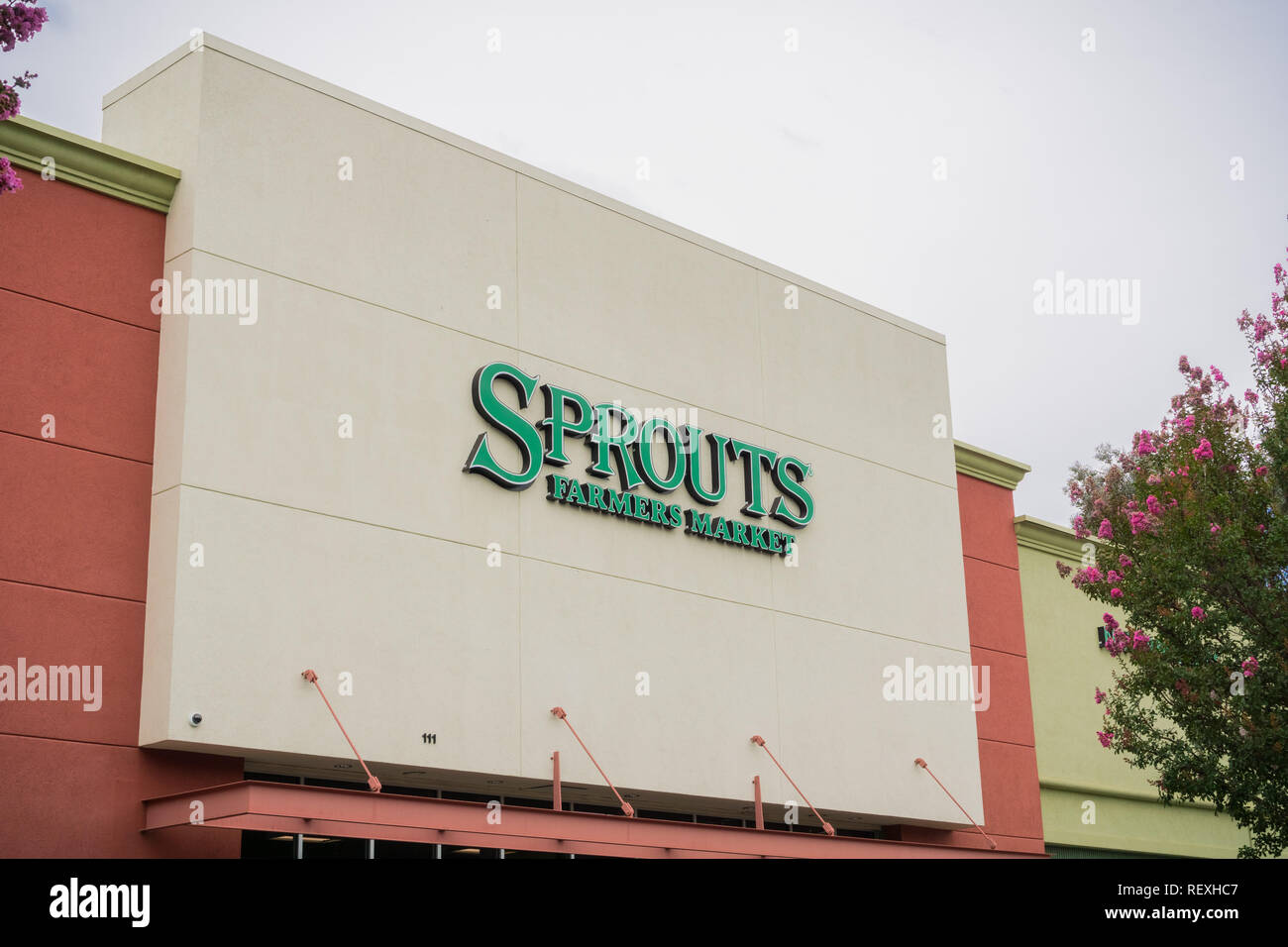 Sprouts logo hi-res stock photography and images - Alamy