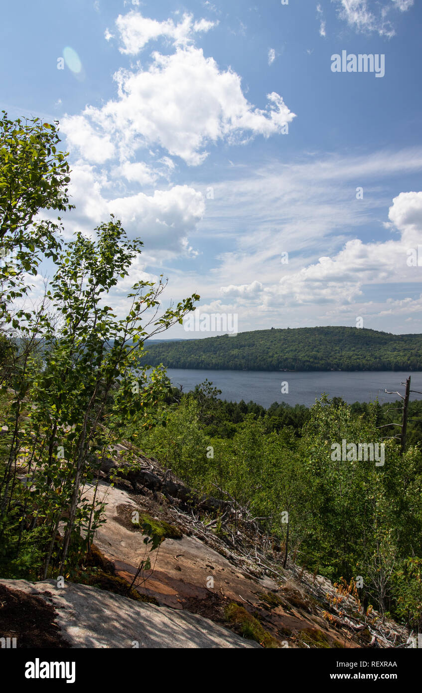Canadian Shield In Summer