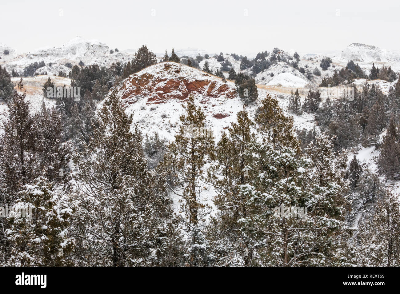 Scoria is the local name for clinker rock, which is formed when coal ...