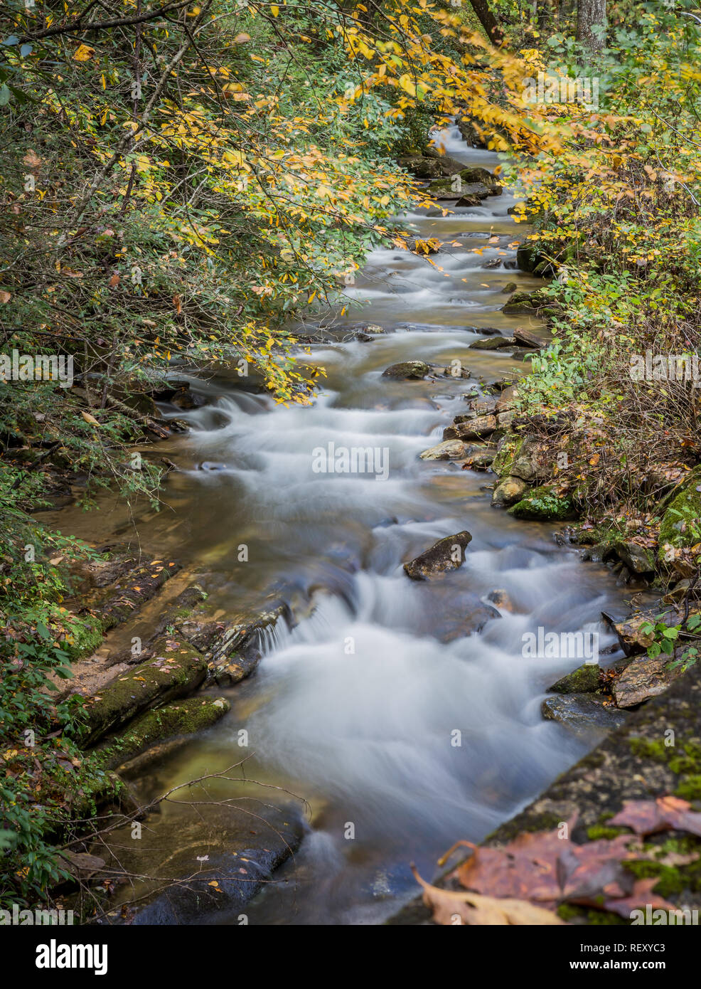 Creek flowing through mountains and fall color in October Stock Photo ...