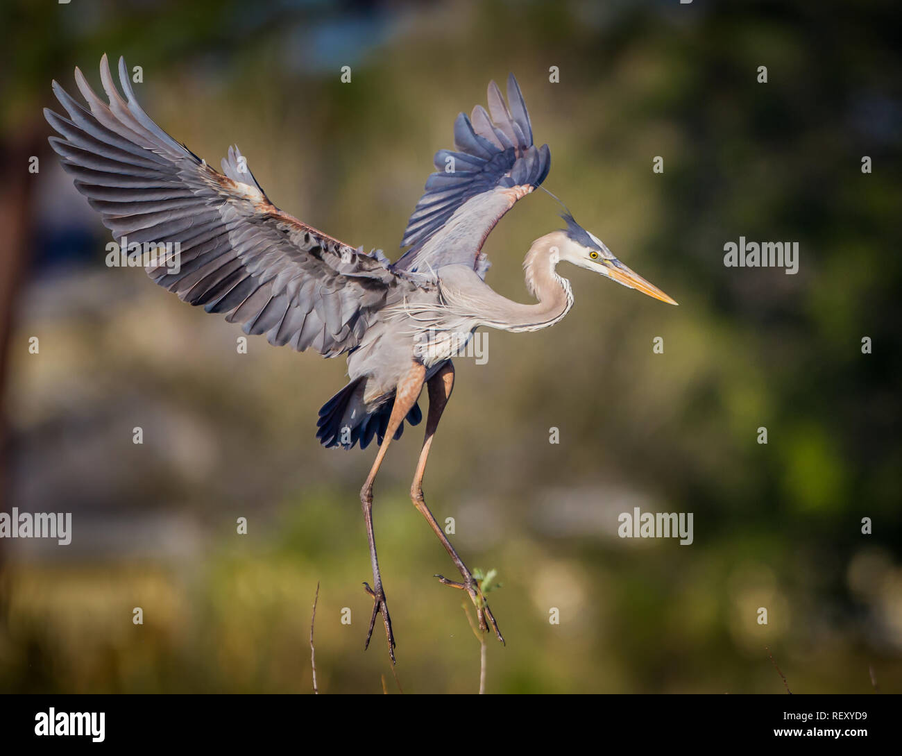 Legs wide spread hi-res stock photography and images - Alamy