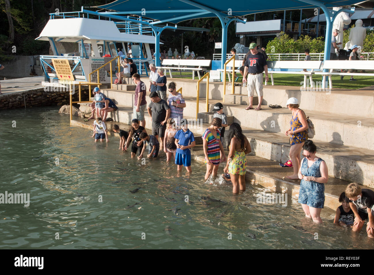 Fish feeding darwin australia hi-res stock photography and images - Alamy