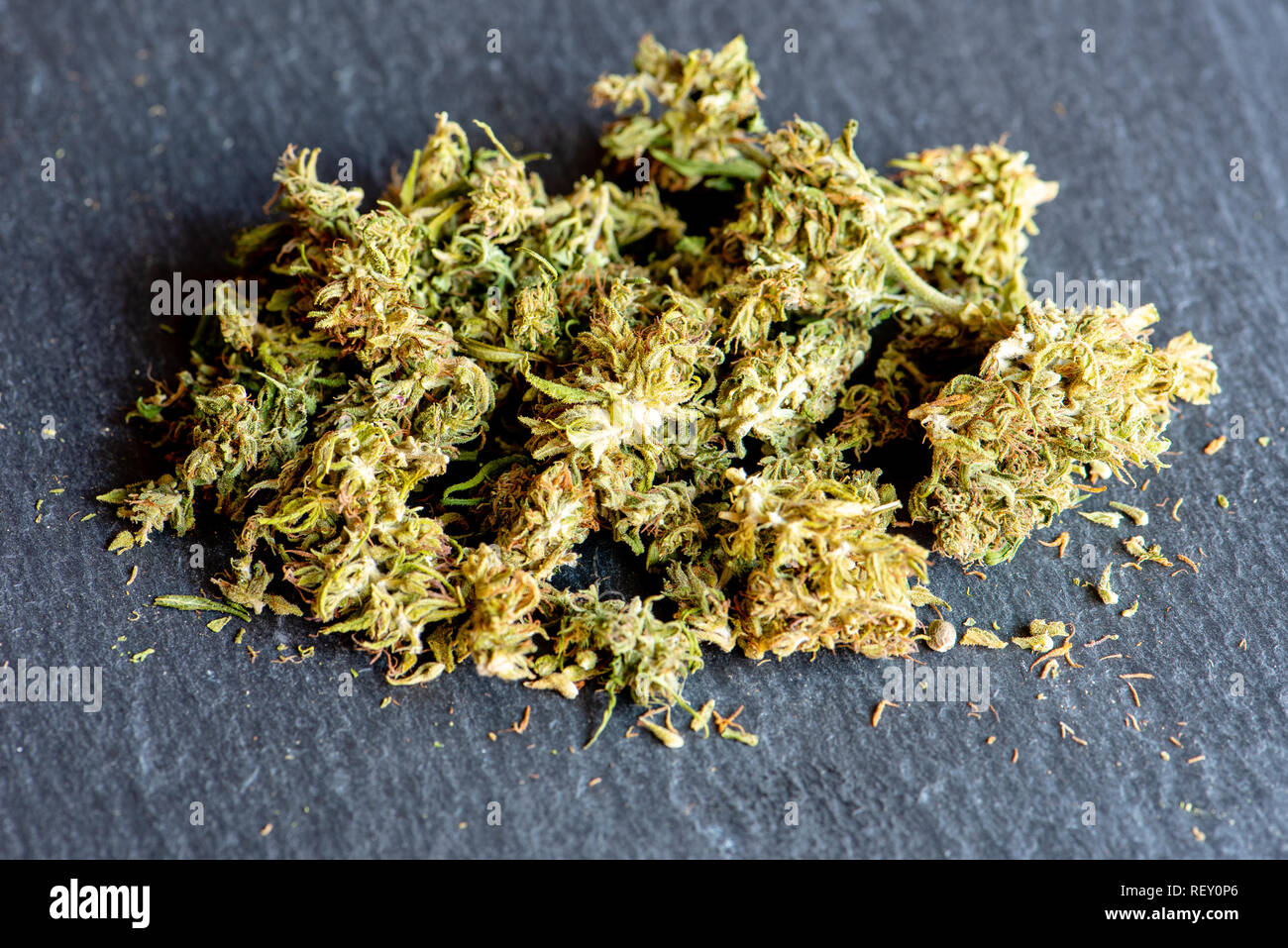 detail of medical hemp buds used to obtain essential oil, healing ...