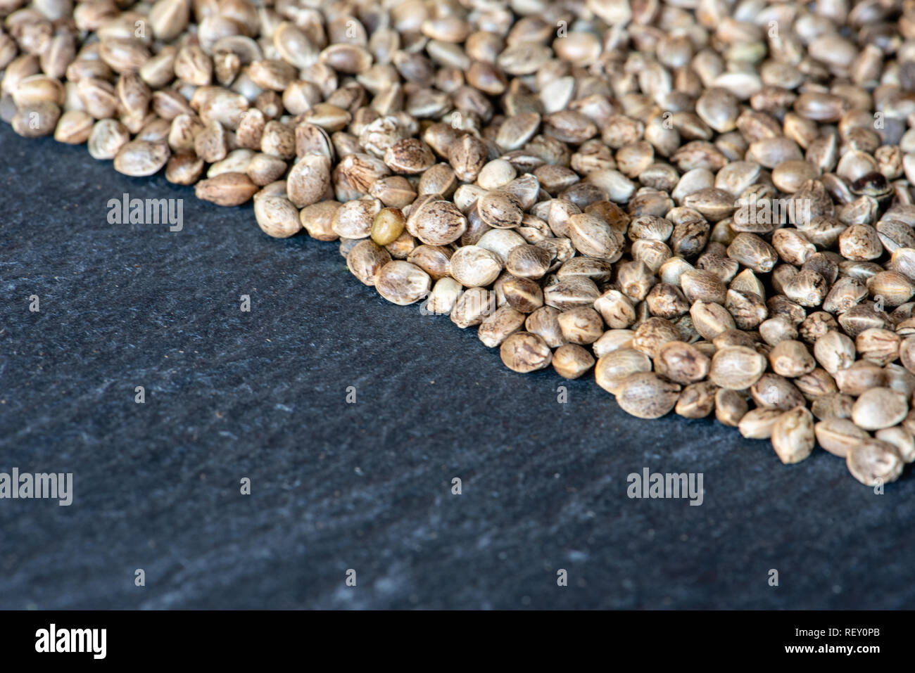 background composed of medical hemp seeds and slate surface Stock Photo ...